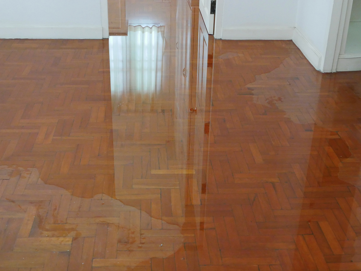 The Most Common Causes of Water Damage